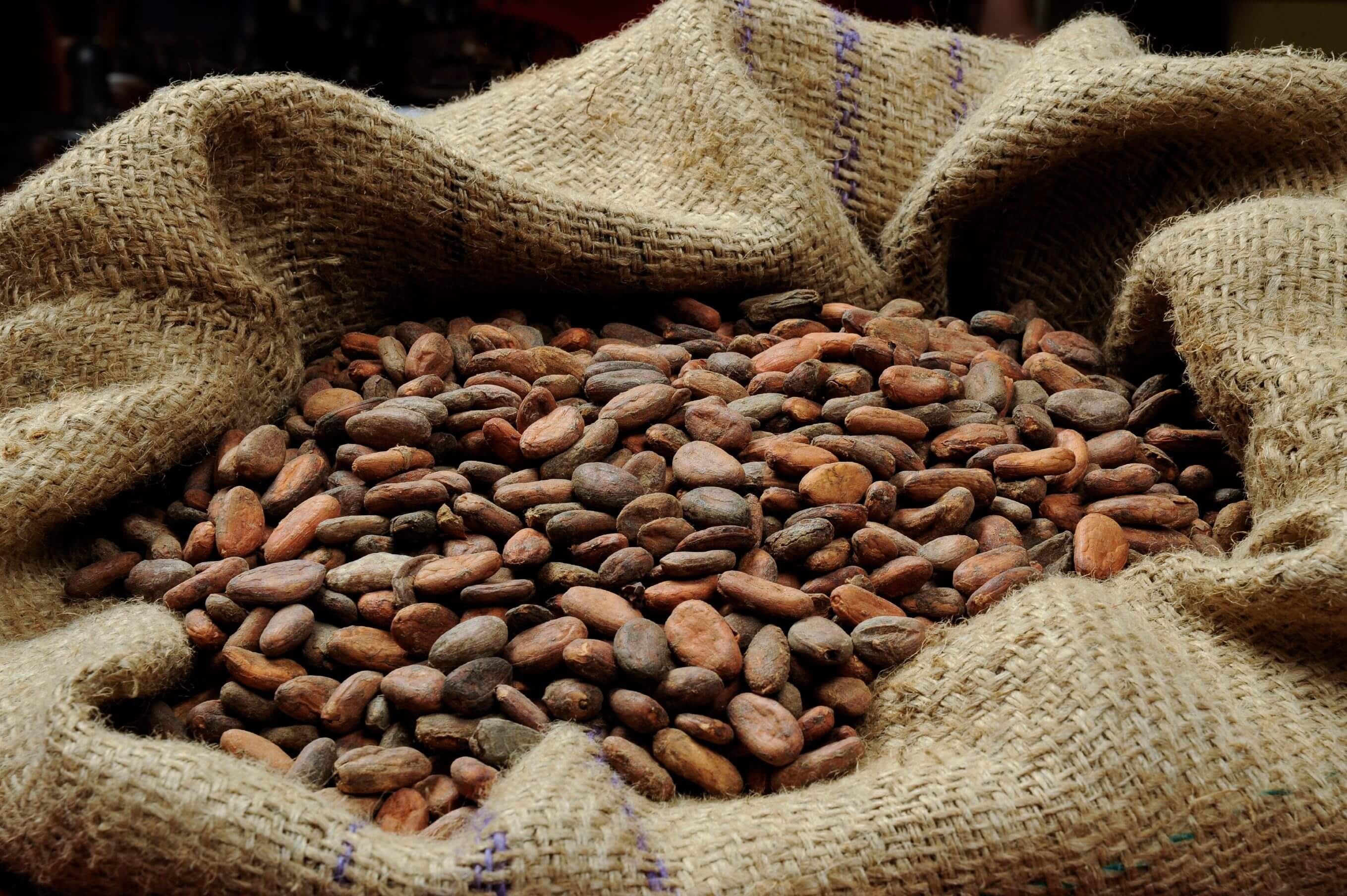 NIGERIA Cocoa Beans, West Africa - Wigmore Trading