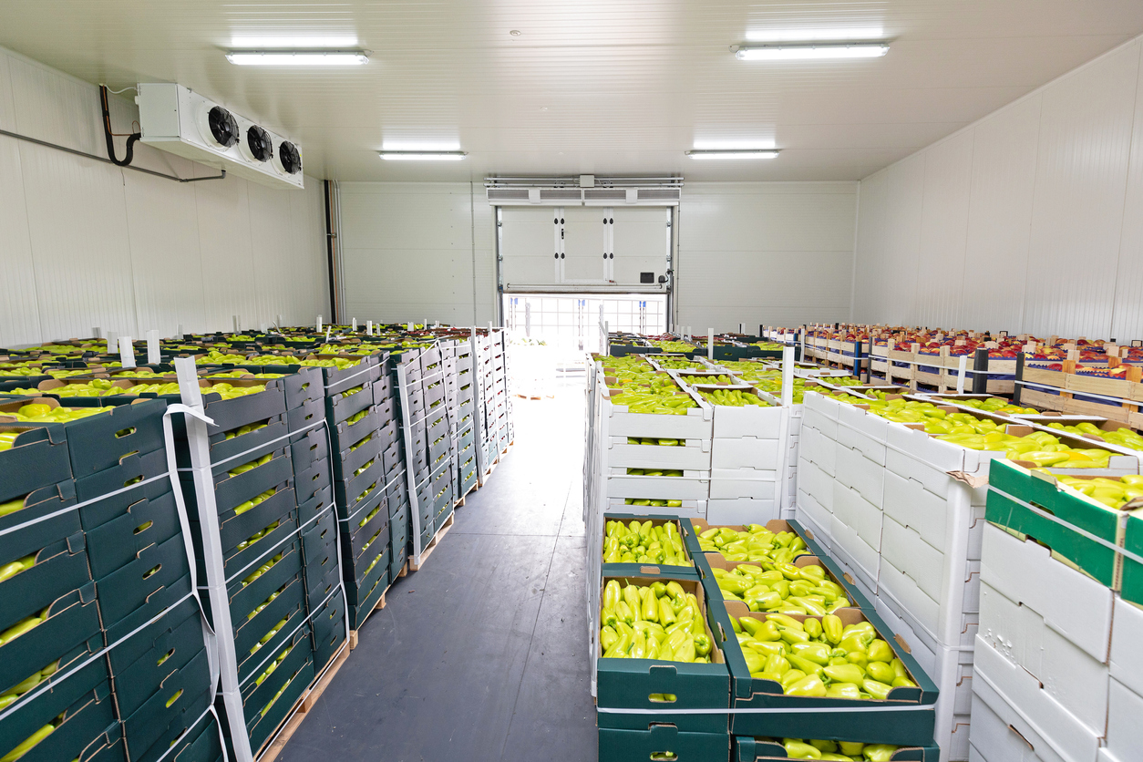 Cold Storage Space To Rent In Ghana Wigmore Trading Cold Storage Space To Rent In Ghana Wigmore Trading